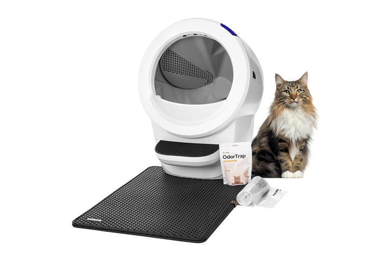 Best self-cleaning cat litter boxes in 2025, tried and tested