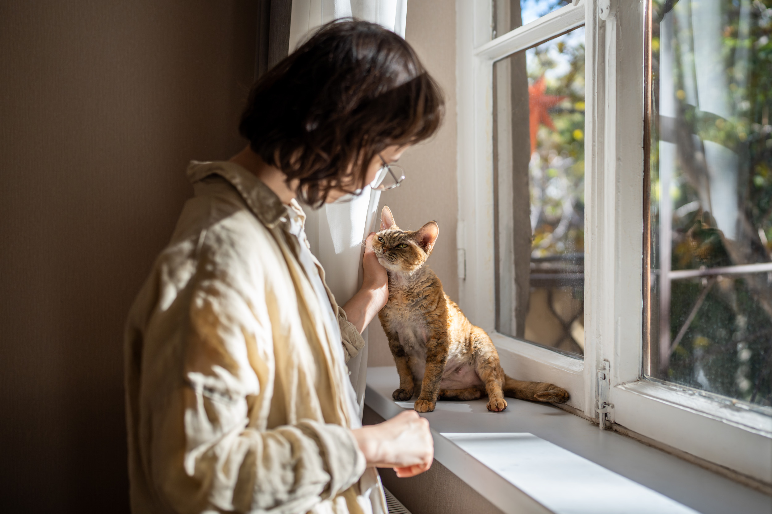 Some Cats 'Thrive' As Therapy Animals, Study Reveals