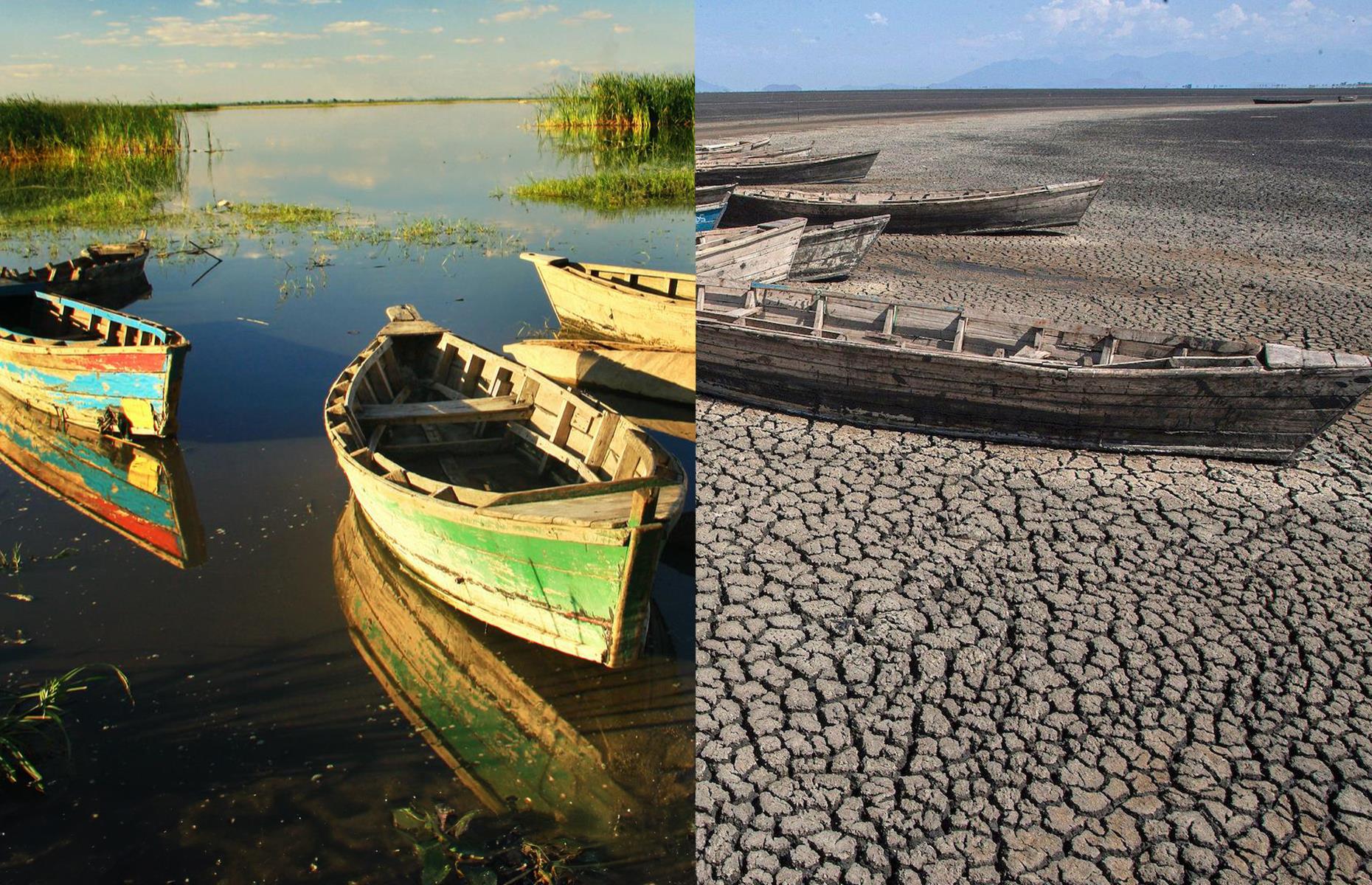 The shocking impact of climate change around the world