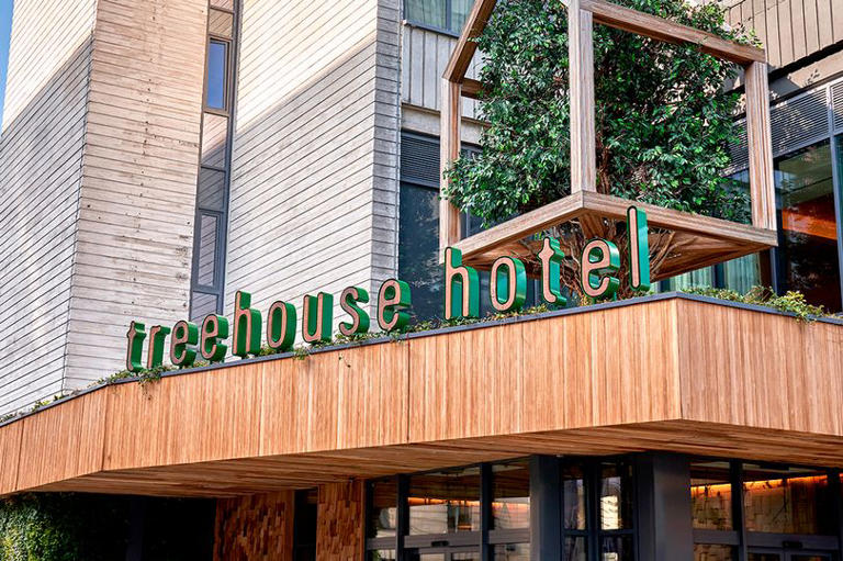 The £25m treehouse-themed hotel that is finally opening its doors in ...