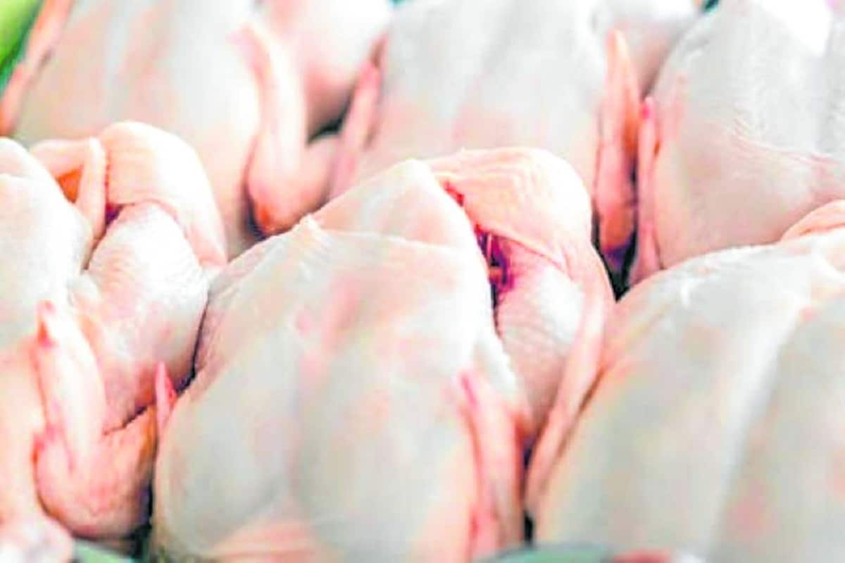 Bounty Fresh flexes drug-free birds; Vitarich touts French hens