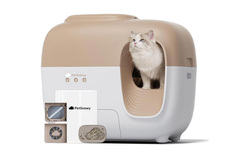 Best self-cleaning cat litter boxes in 2025, tried and tested