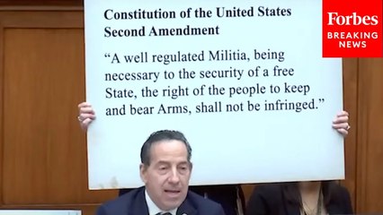 Jamie Raskin Slams Republicans For Using Second Amendment To Push ...