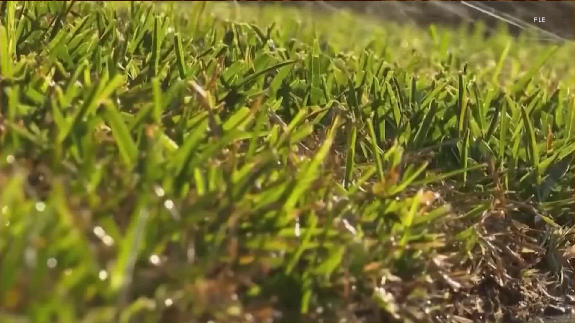 USDA declares drought disaster in 22 Virginia localities