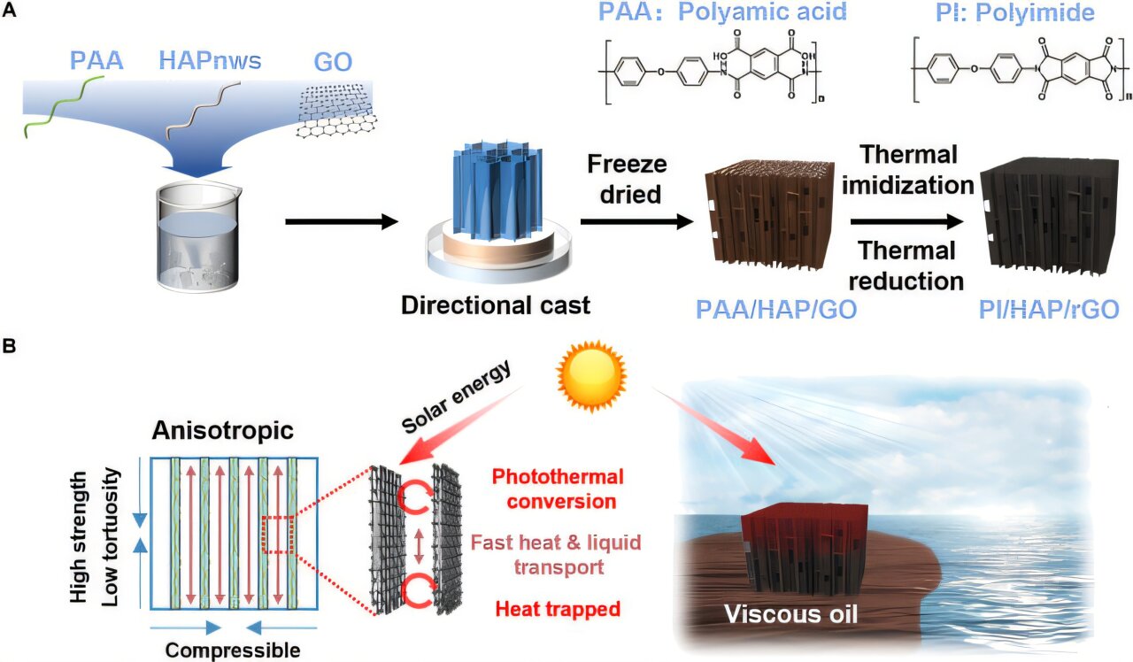 Aerogel provides enhanced oil adsorption through anisotropic structure