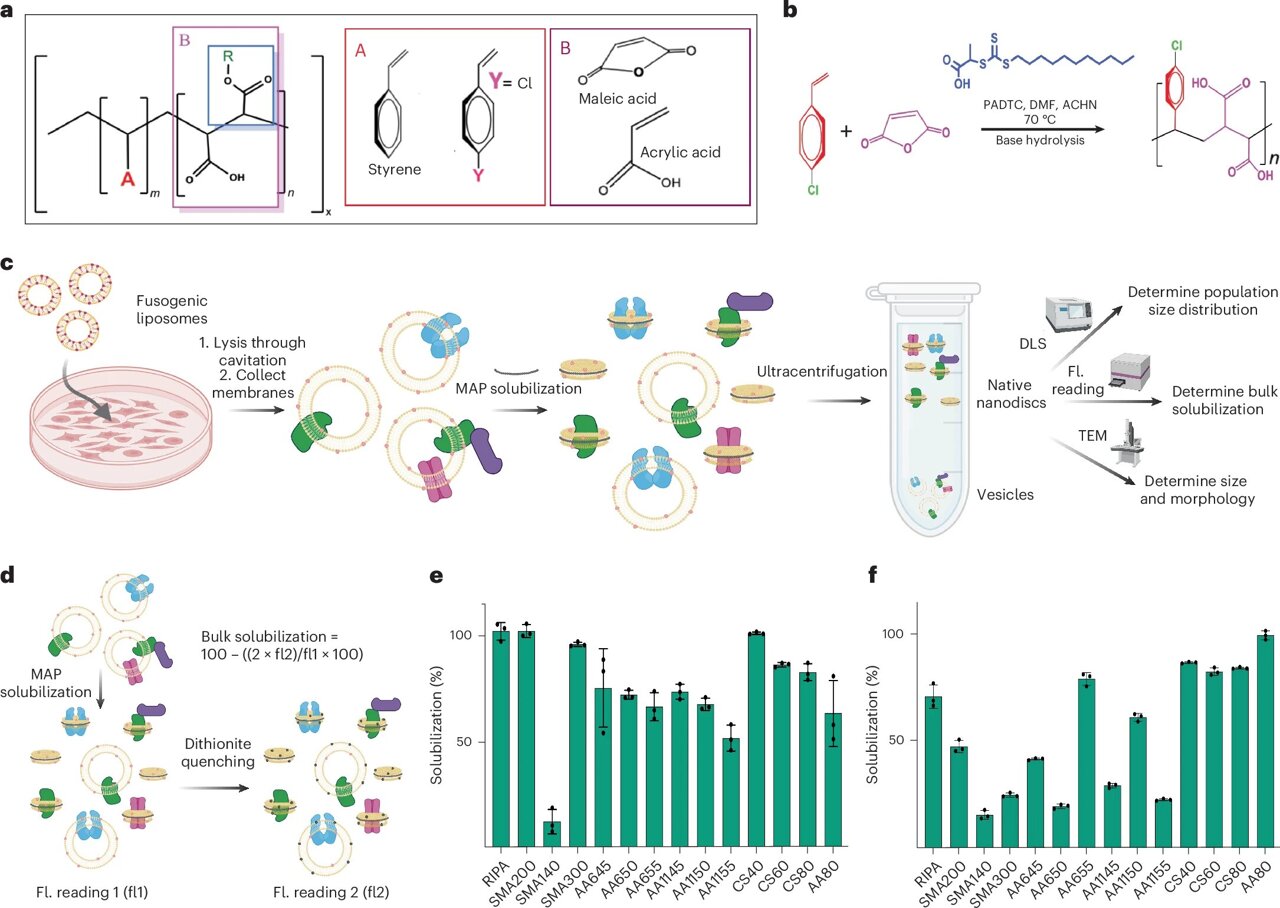 'Molecular library' opens up new frontier of biological space-time