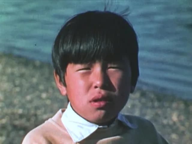 Alaska Native Life: Arctic Circle Fishing & Dog Team Adventures