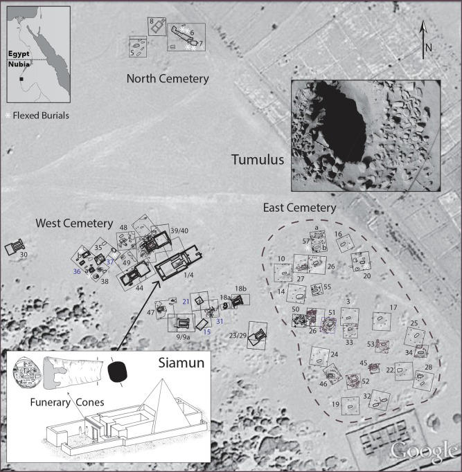 Hidden skeletons found in Egyptian pyramids reveal surprising ...