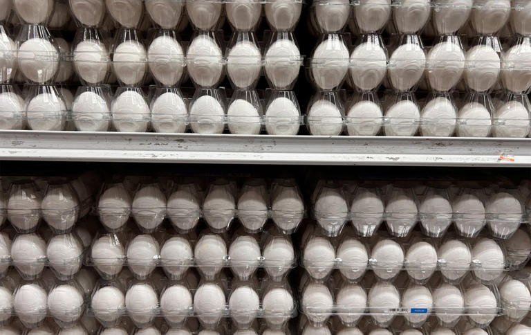 US sees record egg smuggling as prices hit new highs