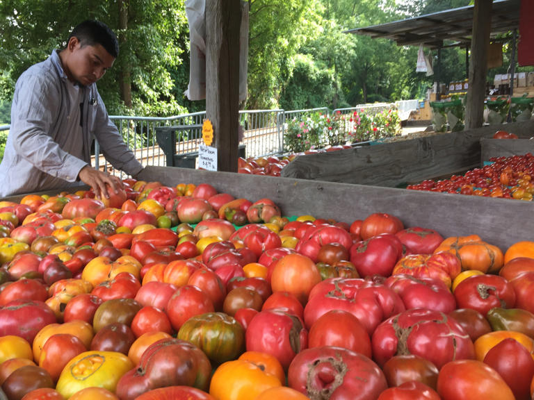 'Haskell's' Chadds Ford farm stand closing permanently after 40 years ...