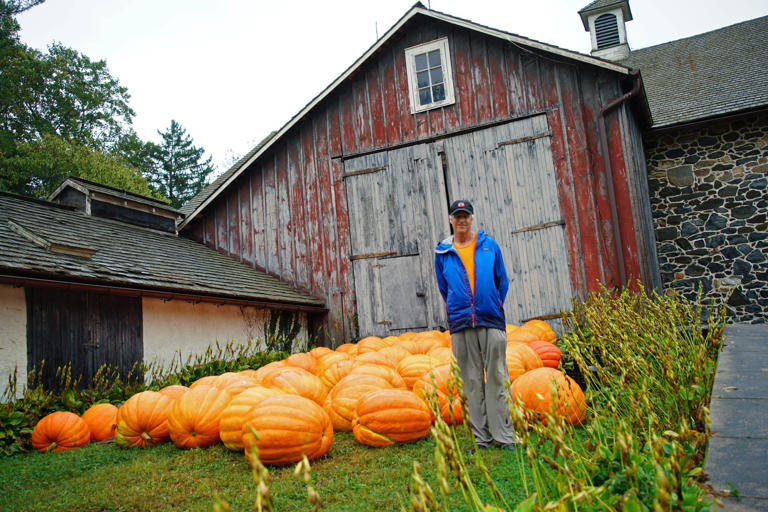 'Haskell's' Chadds Ford farm stand closing permanently after 40 years ...