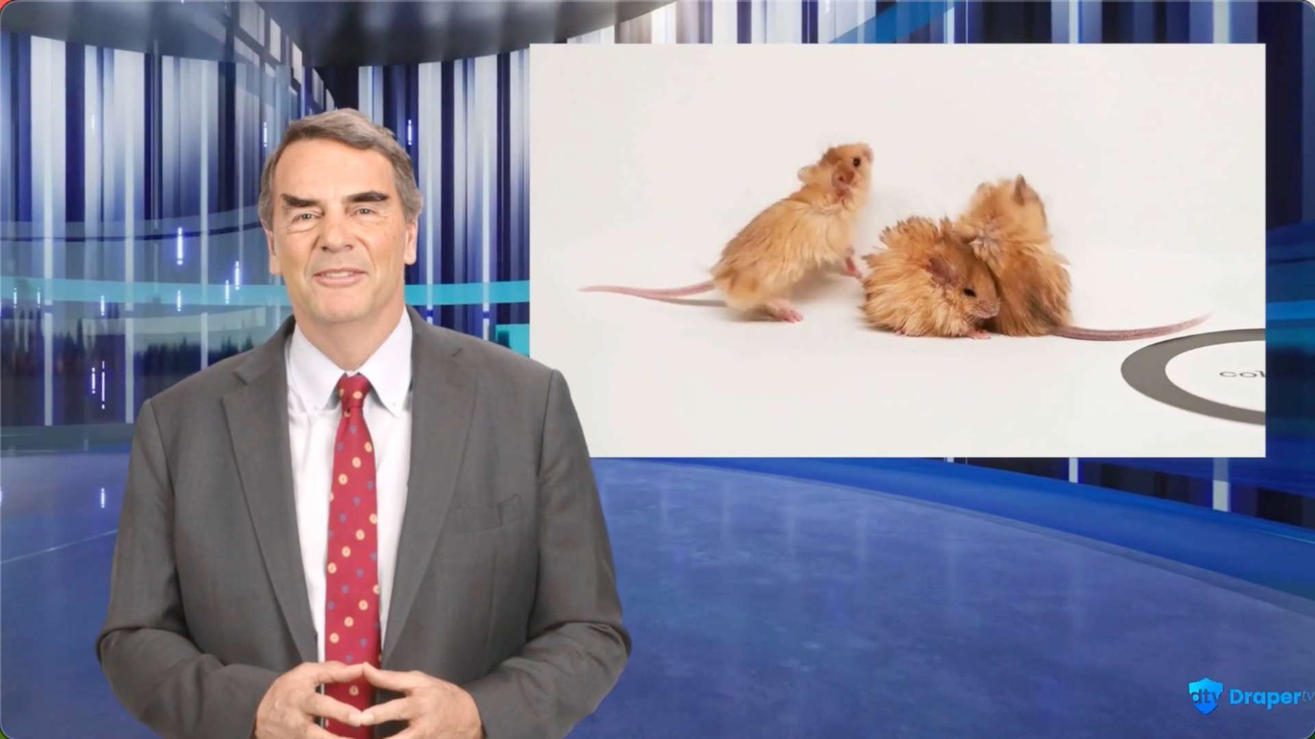 Colossal Biosciences Unveils “Woolly Mouse,” Sparking Curiosity in Kids ...