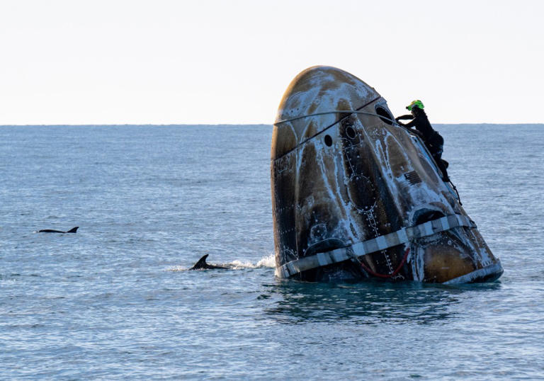 Dolphins surround space capsule after its return to Earth in magical moment