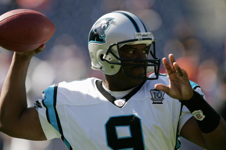 Former Panthers QB does his best Steve Bartman impression at Wednesday ...