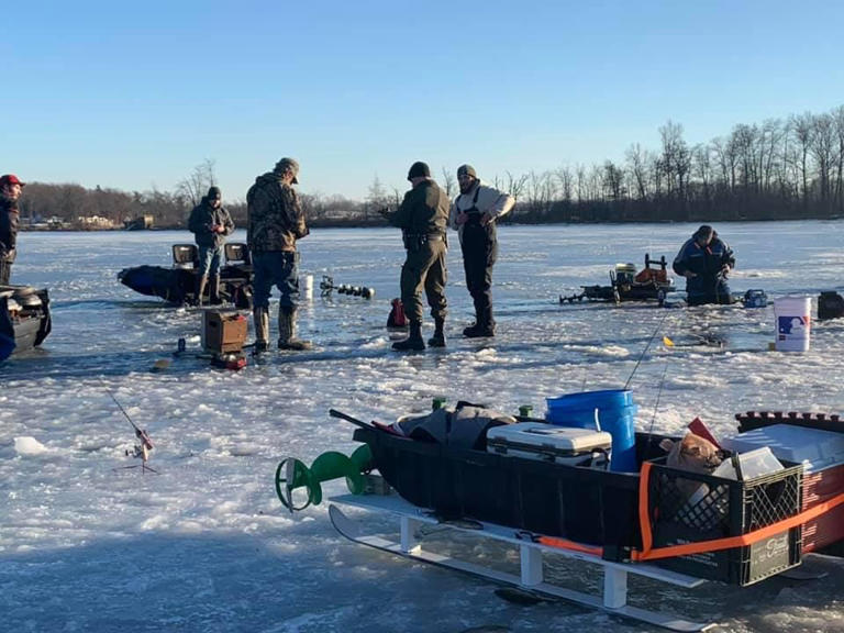 Why am I seeing so many dead fish in Michigan? What to know about ...