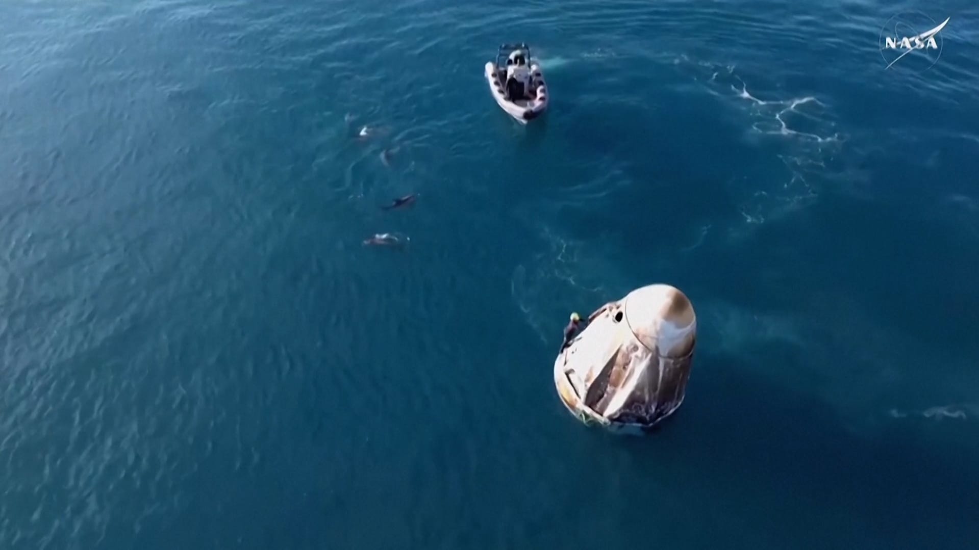 Dolphin pod welcomes NASA astronauts back to Earth