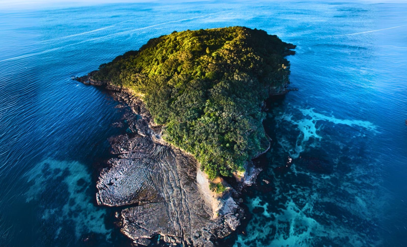 A ‘Frozen in Time’ Island Is Rising from the Ocean, and One Country ...