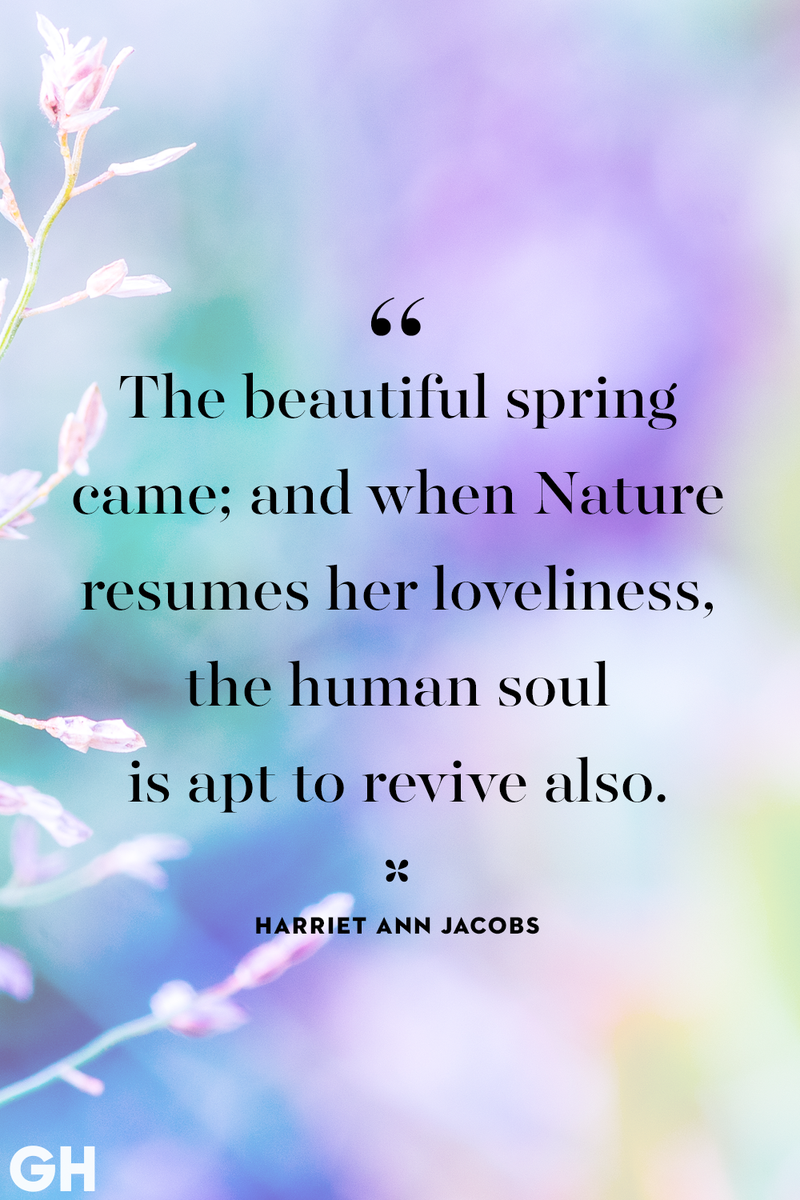 60 Happy Spring Quotes That Inspire Feelings of Excitement