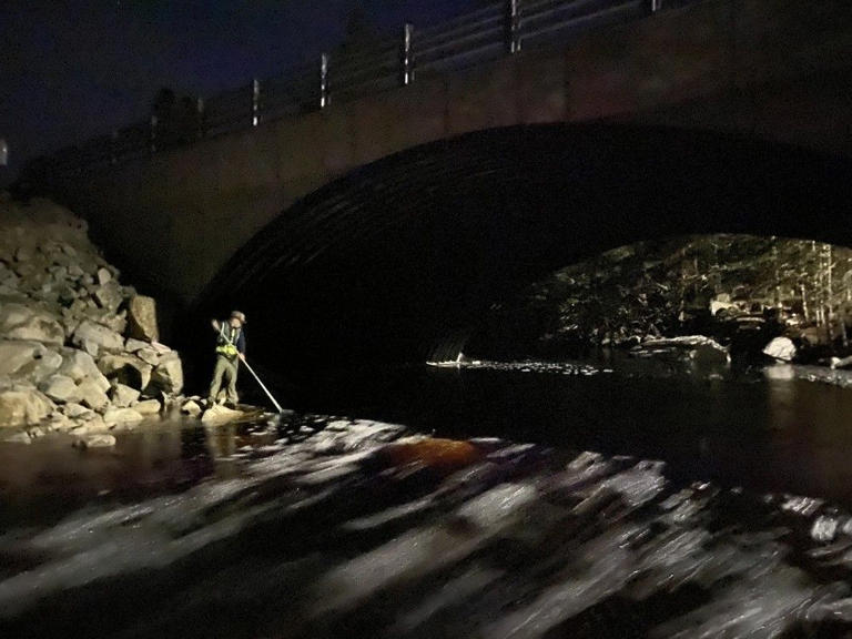 Three Liberal fisheries ministers, senior DFO staff sued by elver ...