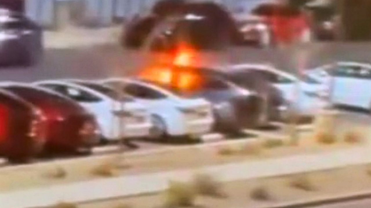 Police investigate as Teslas are set on fire and SHOT at