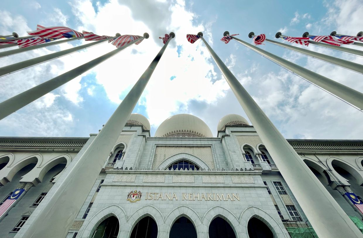 Appeals court: Councils responsible for maintaining trees on federal ...