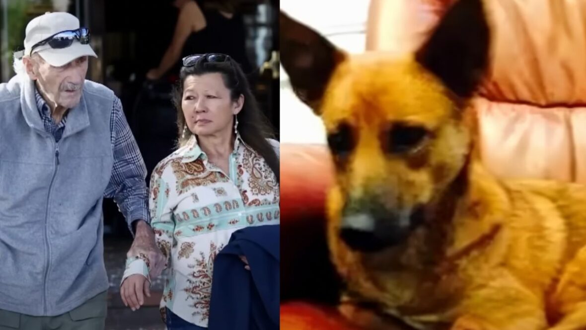 Gene Hackman’s Poor Dog’s Cause Of Death Revealed in Tragedy