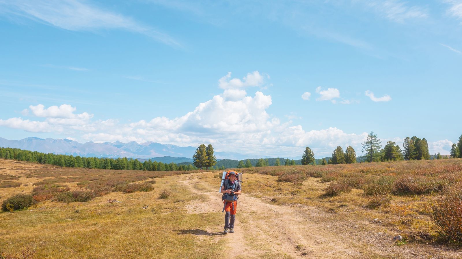 26 Reasons Why More People Are Choosing Van Life Over Renting