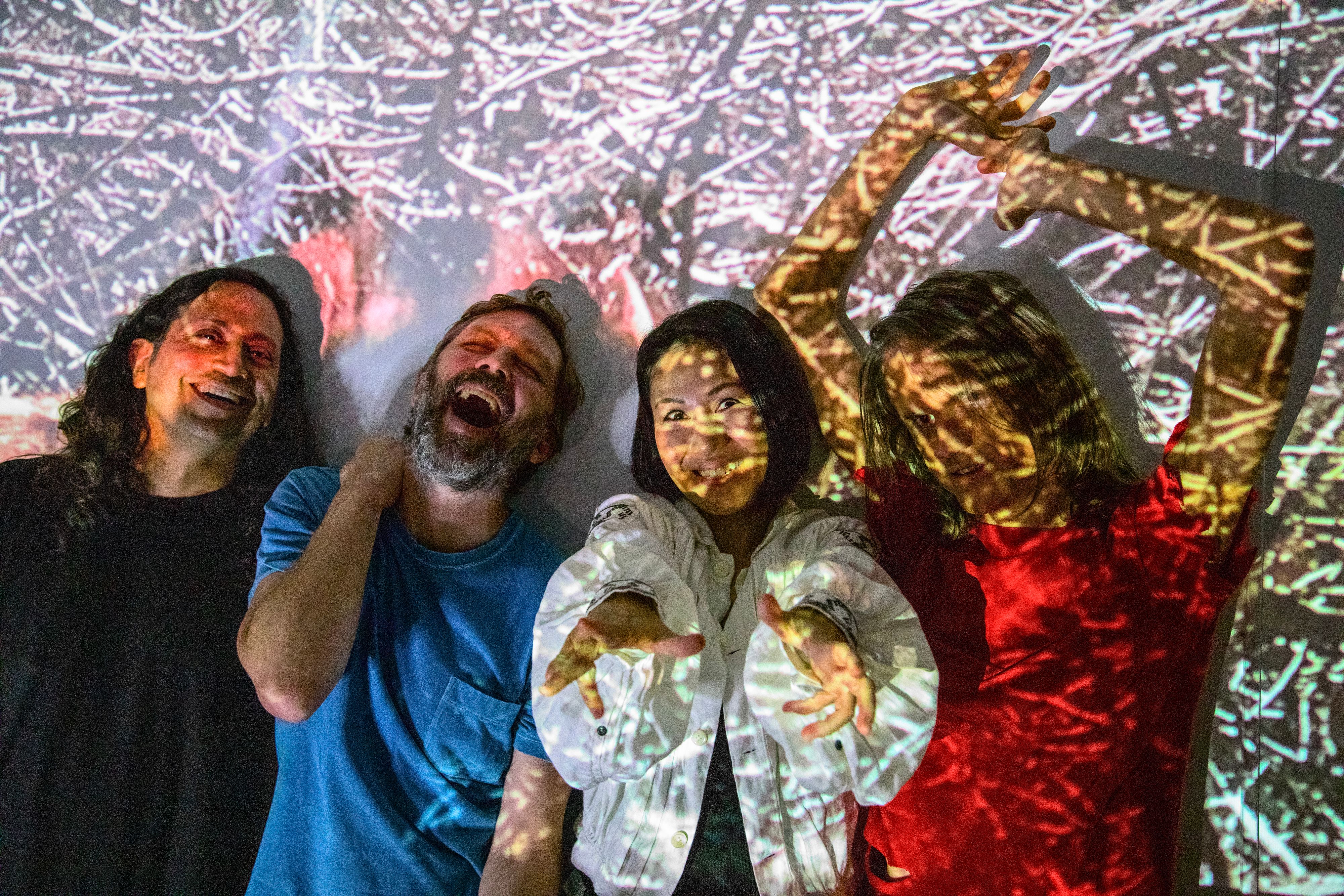Deerhoof Announce Tour and New Album, Share New Song Through Craigslist