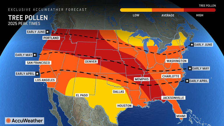 Pollen is expected to be bad in most states this spring – here is when ...