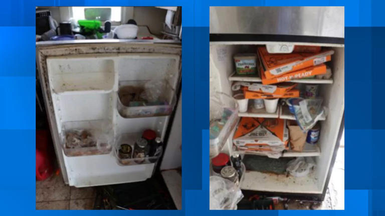 Sheriff: 3 charged after investigation into Flint animal, child abuse ...