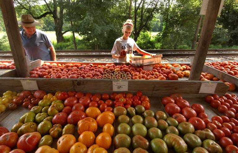 'Haskell's' Chadds Ford farm stand closing permanently after 40 years ...