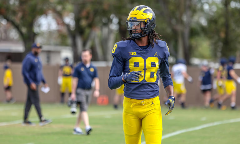 Michigan football freshman WR Jamar Browder impresses older players in ...