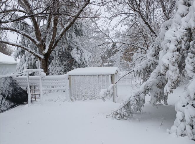 Blizzard conditions, wicked winds lead to power outages, traffic ...