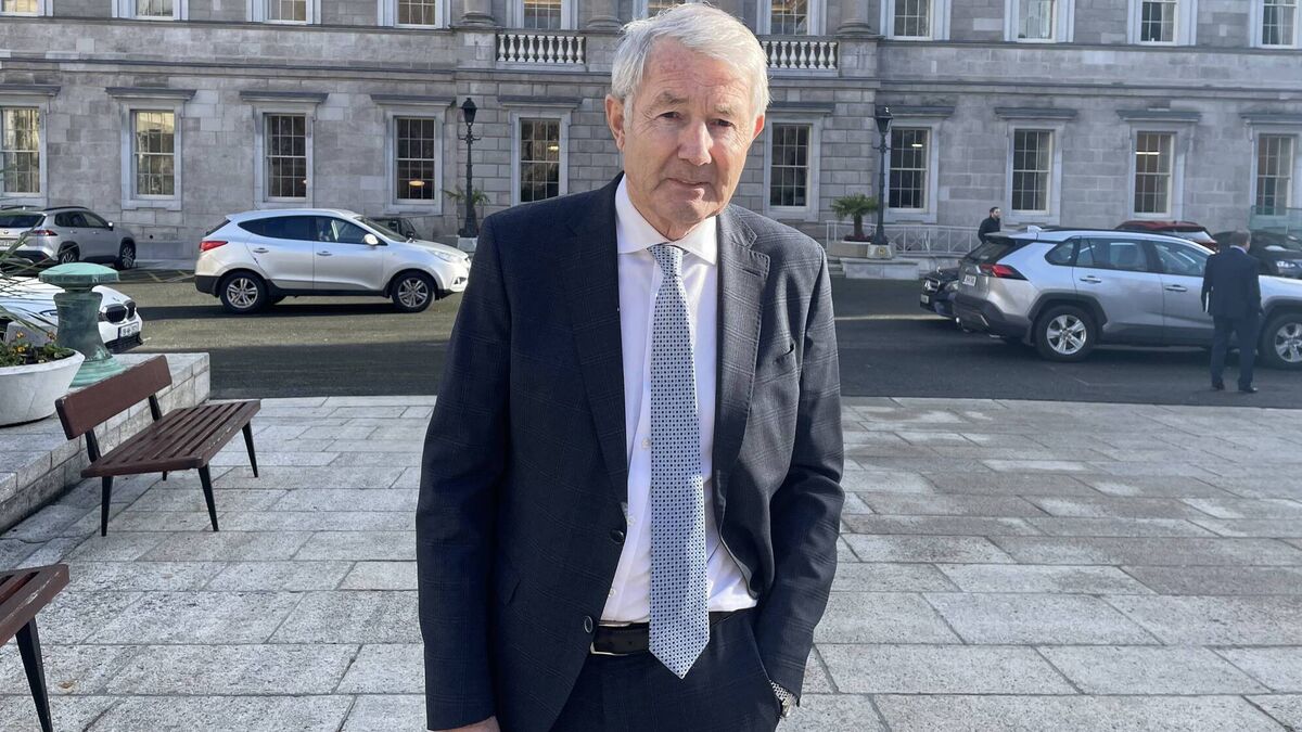 Row over 'Michael Lowry and his underlings' has put Dáil into 'cold ...
