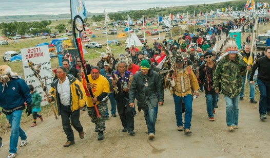 Greenpeace Ordered to Pay Hundreds of Millions to Pipeline Company over ...