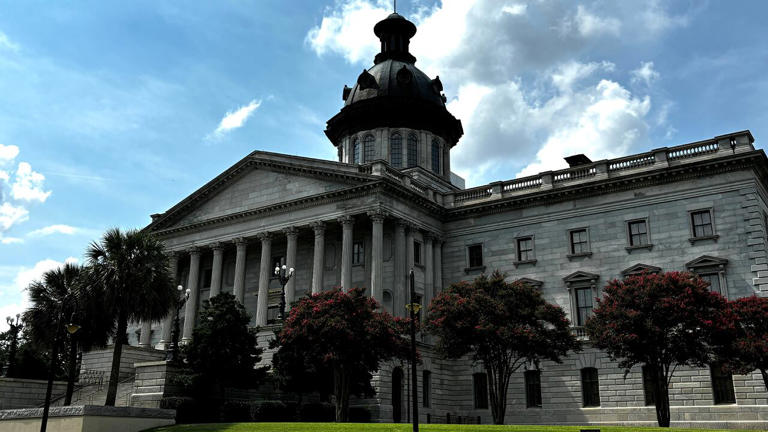 Bill could bar DEI practices in South Carolina schools, colleges