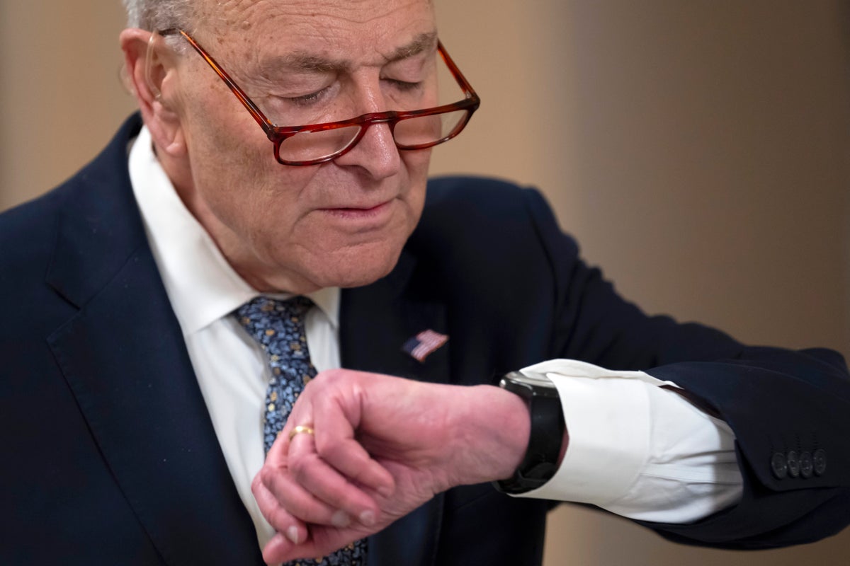 Chuck Schumer tries to put out a five-alarm fire after Democrats ‘caved ...