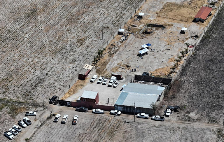 Cartel denies mass ‘extermination’ camp — complete with crematorium —at ...