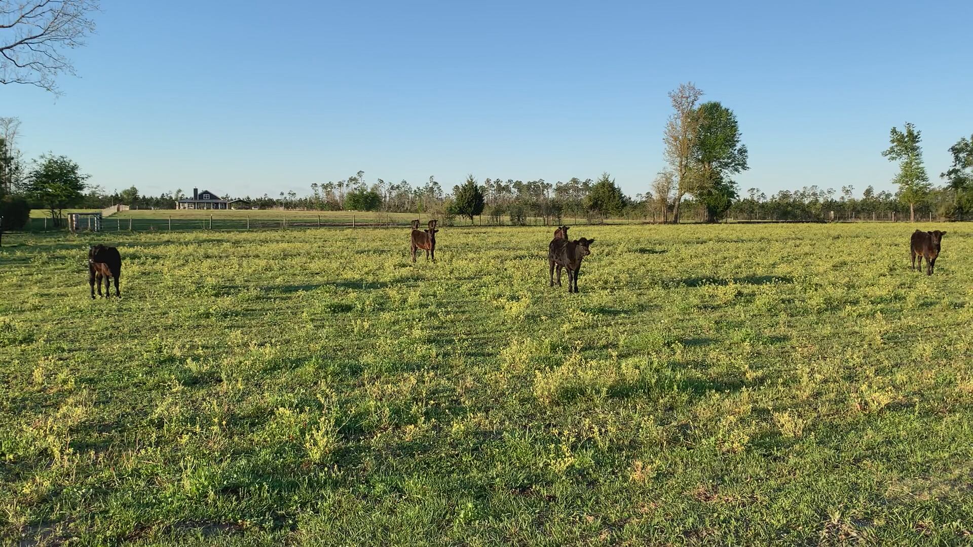 Florida’s Rural Renaissance passes out of Senate, offering rural areas ...