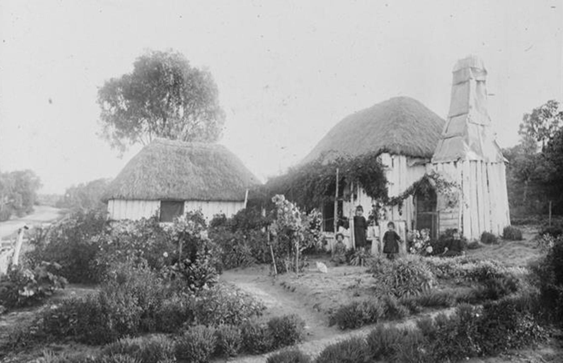 See how Australian homes have changed in fascinating historic pics