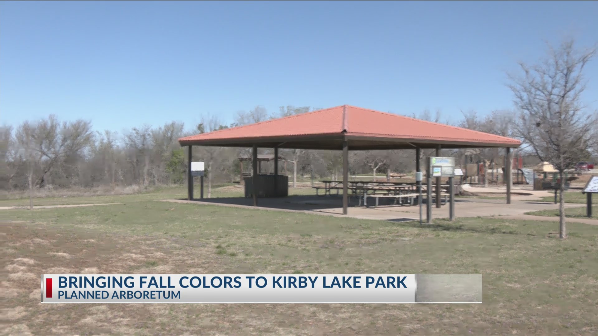Abilene Parks & Rec to create new arboretum with fall trees at Lake Kirby