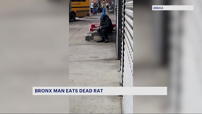 Viral video shows man eating rat in the Bronx
