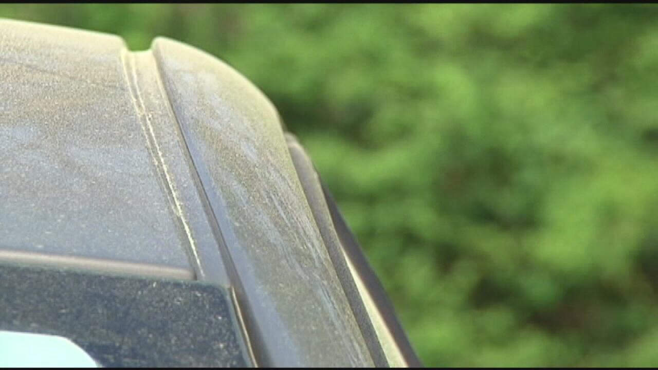 Allergies and pollen in Augusta could be worse this year, an expert says