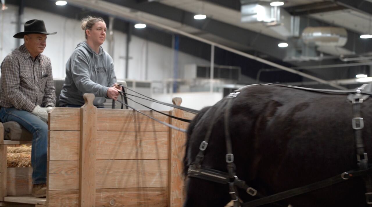 Equestrians Dive into Driving at a Watford City Draft Horse Driving Clinic