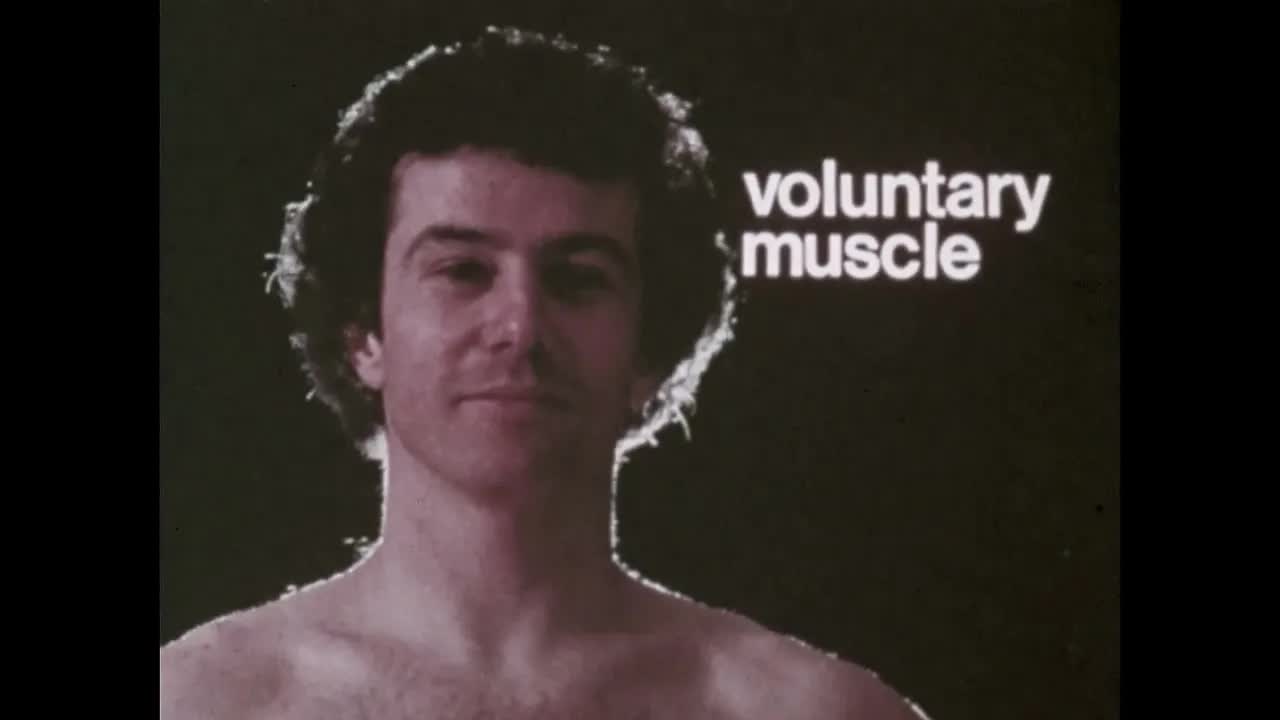 Human Anatomy: Muscular System - Skeletal Muscles, Biceps & Triceps