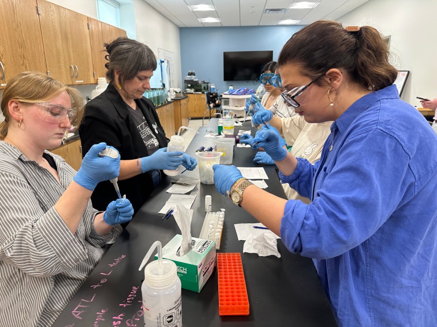 Alabama School of Math and Science students research ocean ...