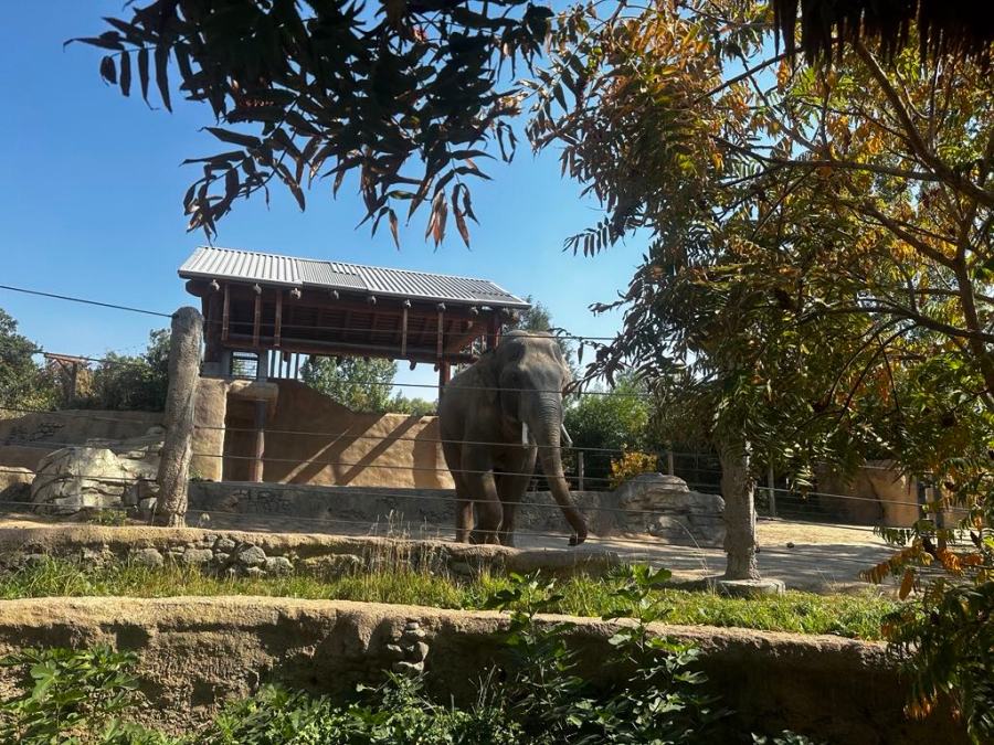 2 Colorado zoo exhibits, 1 zoo named among USA Today’s 10 Best