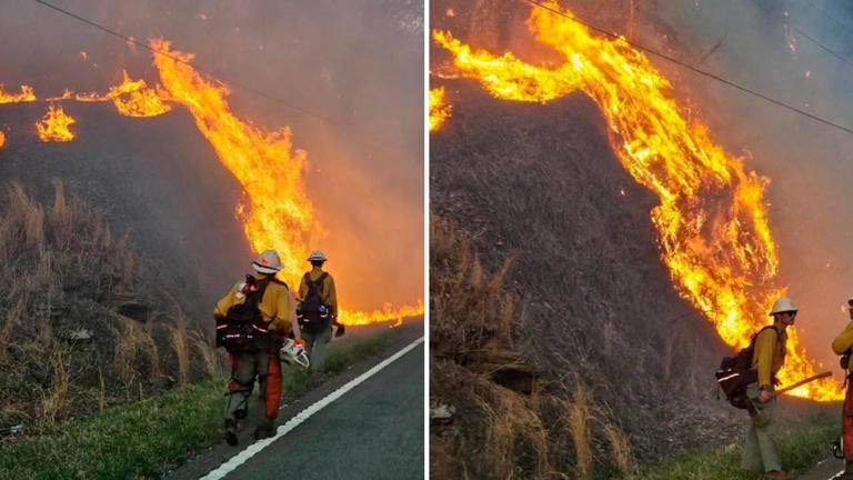 UPDATE: Pickens County wildfire 100% contained after burning nearly 40 ...