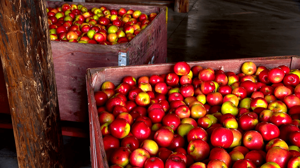 Local apple supplier donates 1,320 cases to aid the community