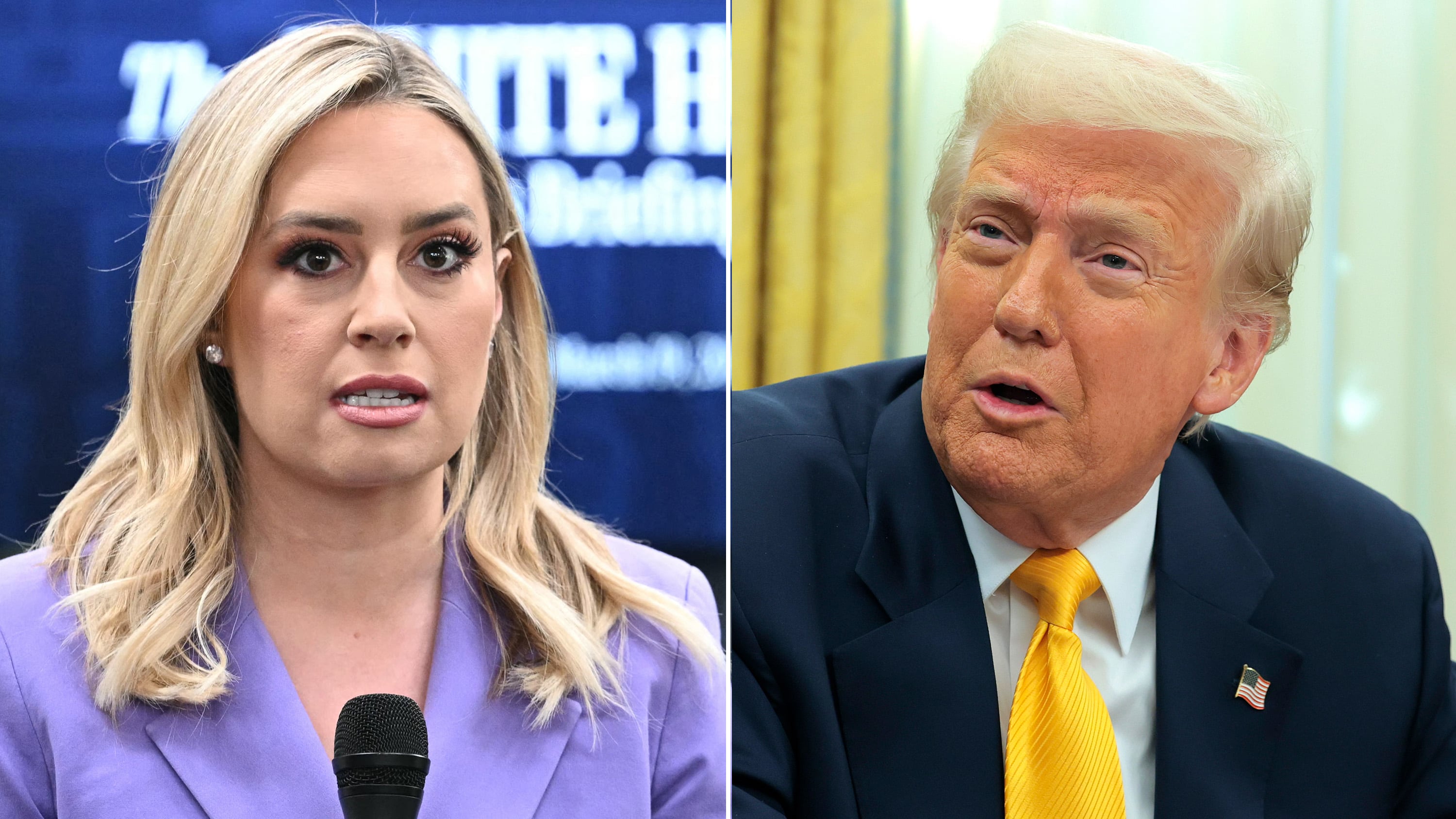 Trump Lays Into Senior Fox Reporter Who Dared to Speak Out